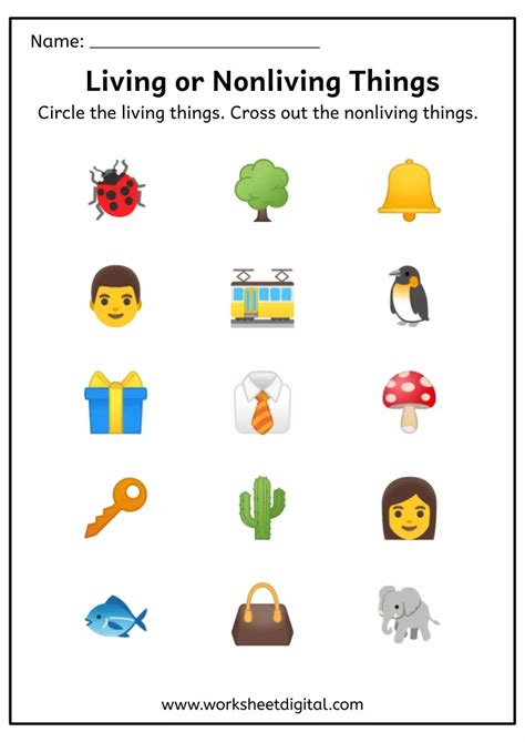 Living And Nonliving Things Living And Nonliving Nonliving Living