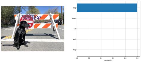 Zero Shot Image Classification With Siglip — Openvino™ Documentation