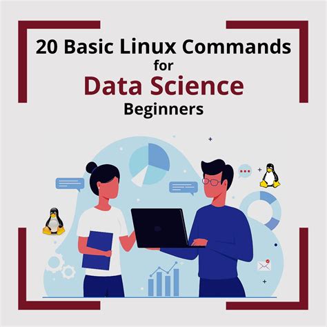 20 Basic Linux Commands 20 Basic Linux Commands For Data Science Beginners 1 Ls The Ls