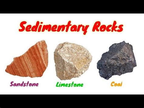 Sedimentary Rocks Examples Limestone