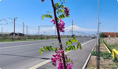 Sustainability And Social Responsibility Grand Tobacco Armenia
