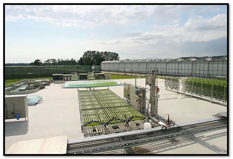 Microalgae Biorefinery Plants Make Sense Dont They Blueit