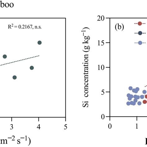 The Linear Relationships Pearsons R² Asterisks Designate P