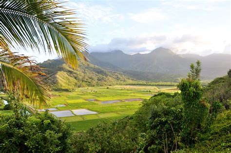 Hanalei Valley Lookout