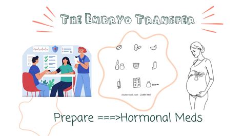 The Embryo Transfer Procedure Step By Step Gshc Surrogacy Guide