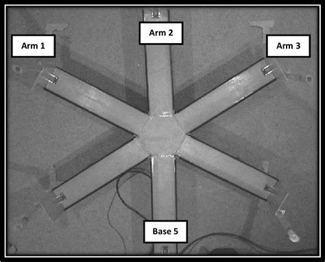 Figure 1 From The Role Of The Rat Medial Prefrontal Cortex In Complex