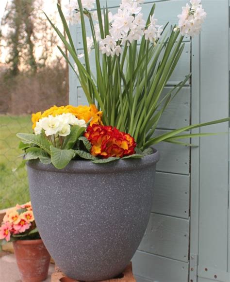Buy Rare Unusual And Exciting Plants Hayloft Stone Effect Planter 35 5cm