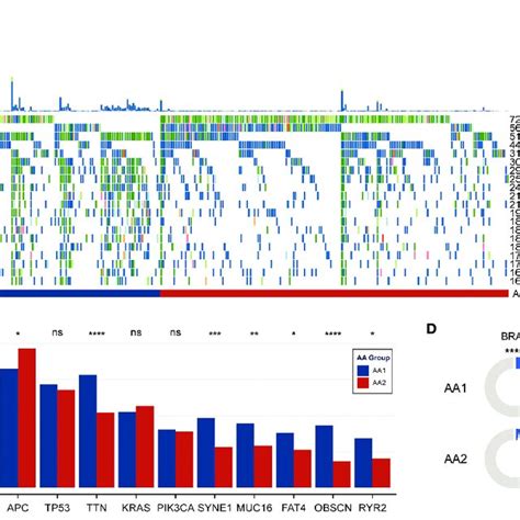 Correlation Of The Aa Subtypes With Tumor Mutations A Oncoprint Of