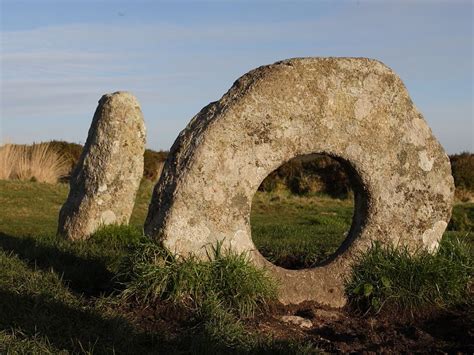 Early Frogspawn Wildlife Insight