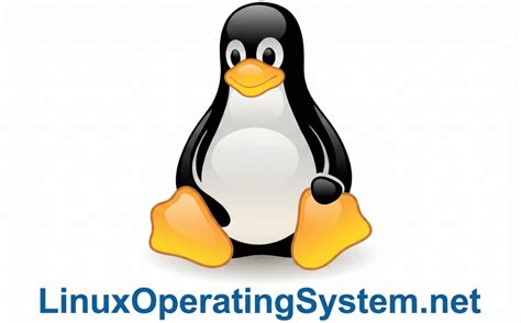 Paste Command Line In Linux Linux Expert Better 2025