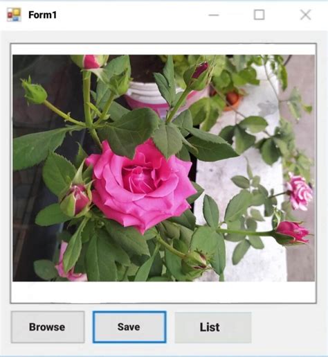 Image Uploading And Downloading In Visual Basic VB Using MySQL Codebun