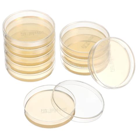 Heallily 10 Piezas Placa De Agar Nutritivo Placas De Agar Placa Petri