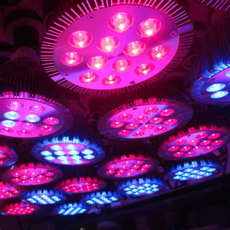 36w Fluorescent Lightingcidly Fluorescent Lightingfull Spectrum