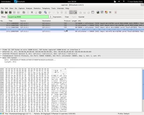 Linux Why Netbeans Is Trying To Connect To A Debug Proxy Stack Overflow