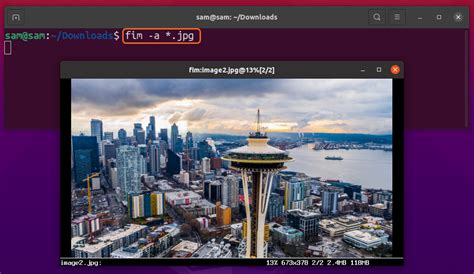Viewing Image In Linux Posetke