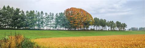 The Best Available Hotels And Places To Stay Near Cameri Italy