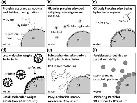 Difference Between Emulsifiers And Stabilizers At Travis Dexter Blog