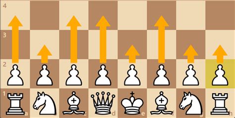 How The Pawns Knights Bishops Rooks Queen And King Move In Chess