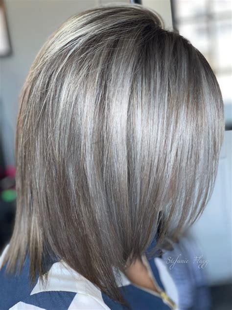 Silver Hair Grey Hair Lowlights Gray Hair Highlights Hair Color