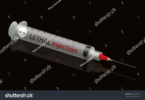 Lethal Injection Syringe Skull Isolated Vector Stock Vector Royalty Free 263437310 Shutterstock
