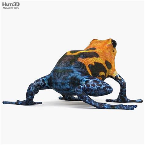 Poison Dart Frog 3d Model Download Amphibians On Poison Dart Frog 3d Model Download Amphibians On