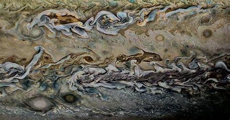 The Dolphin On Jupiter Imgur