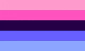 Sexuality Flags And Meanings