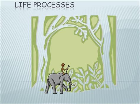 Life Processes Ppt