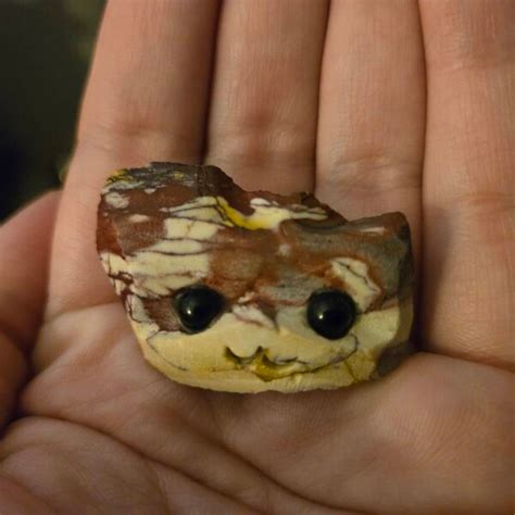 Hemimorphite Specimen Etsy