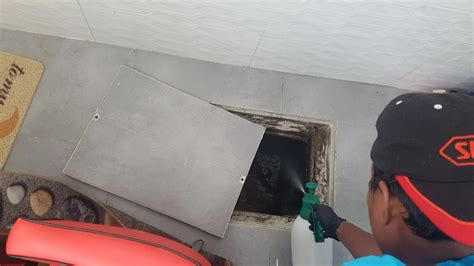 Cockroaches Pest Control Seri Kembangan Selangor Kuala Lumpur Kl