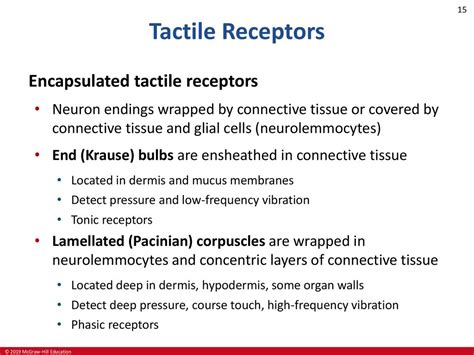 Senses Ppt Download