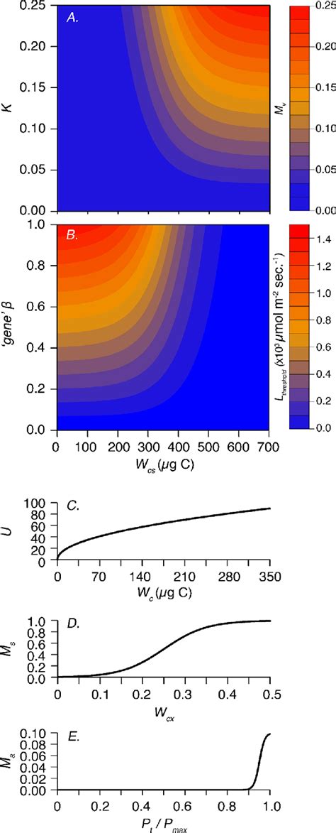 A The Relationship Between Visual Predation Risk M V Total Mass W