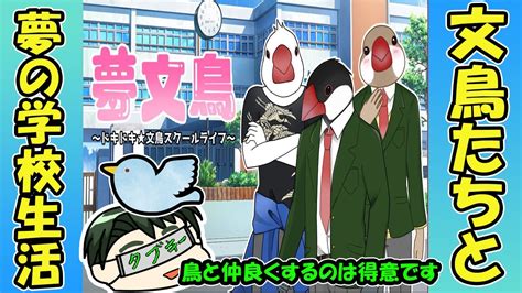 新人フリコン】あの文鳥たちと一緒の学校に！？【夢文鳥〜ドキドキ★文鳥スクールライフ〜】 Youtube