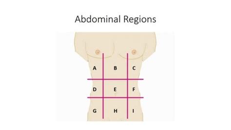 Biology 201 Lab Final Exam Flashcards Quizlet