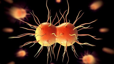 Super Gonorrhea Has Reached The Us