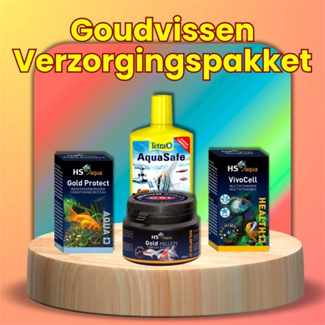 Hoe Begin Je Met Aquascaping Voor Beginners