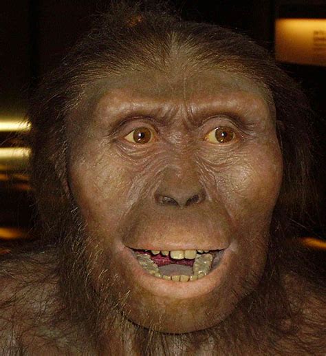 New Fossils Confirm Diversity Was The Rule For Human Evolution