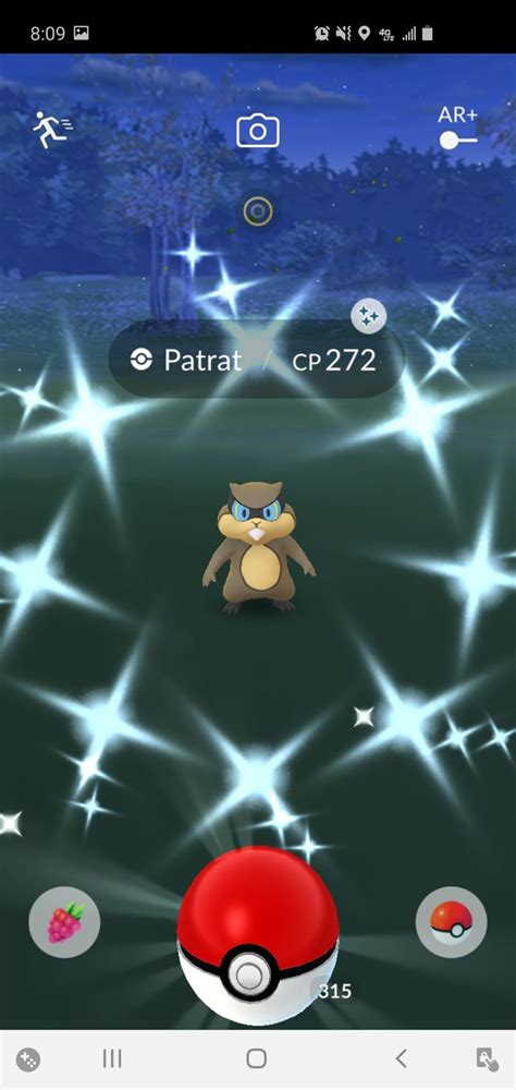 Shiny Patrat Shiny Pokemon Pokemon Dex Pokemon Go
