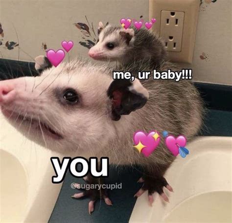 The 100 Best I Love You Memes That Are Cute Funny Romantic All At The