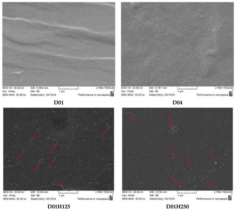 Hydrogels Of Poly2 Hydroxyethyl Methacrylate And Polynn Dimethylacrylamide Interpenetrating