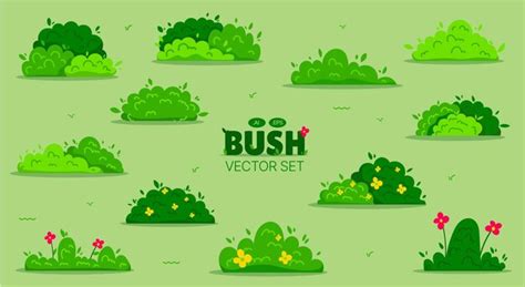 Premium Vector Bush Vector Set
