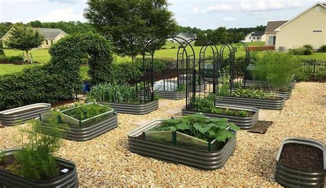 Birdies Heritage Raised Garden Beds At Kristopher Chambers Blog