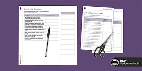 Sub Cellular Structures Worksheet Ks3 Biology Beyond