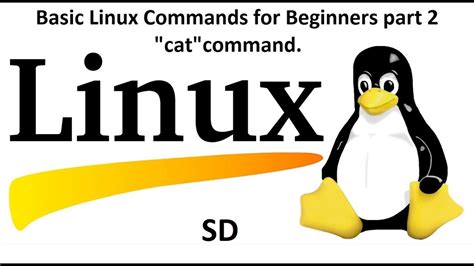 Basic Linux Commands For Beginners Part 2 Cat Command Youtube