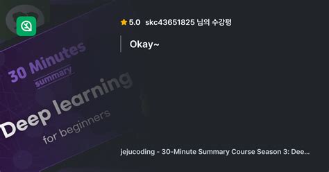 선경님의 생생한 수강평 30분 요약 강좌 시즌3 초급자를 위한 손에 잡히 인프런 수강평