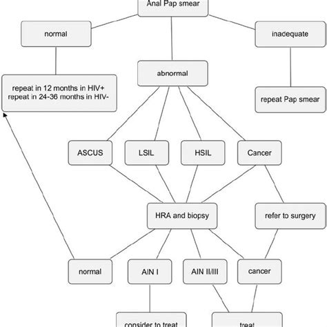 Algorithm For Anal Pap Screening And Hra Adapted From Palefsky And