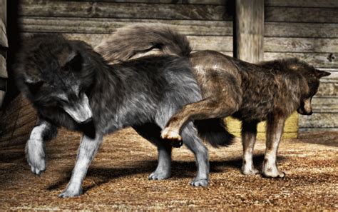 Rule 34 169 2019 3d Ambiguous Gender Ambiguous Penetrated Animated