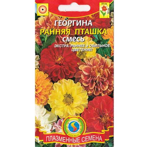 Георгина "Ранняя пташка" - Семена ВК Омск, Купить Семена в Омске