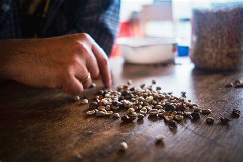 Mastering Sample Size Calculations Towards Data Science