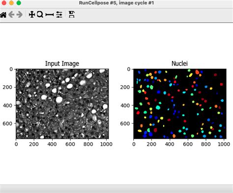 Count Objects Cellprofiler Cellpose Integration Image Analysis Image Sc Forum